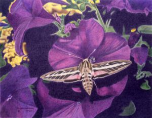 Bruce J. Nelson Art - Paintings & Prints
