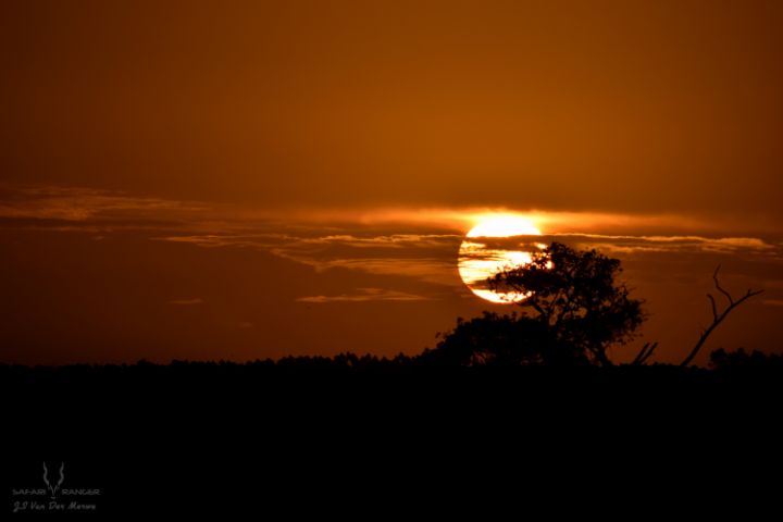 "Sunset Safari" - Safari Ranger - Photography, Landscapes & Nature ...