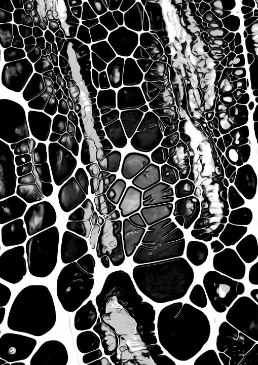 Natural Pattern - MonastArt - Digital Art, Abstract, Organic - ArtPal