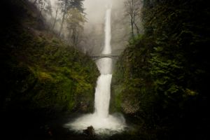 John Dole Photography - Photography