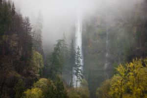 John Dole Photography - Photography