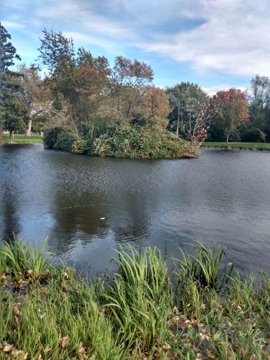 Nature Creek - Kae's Photos - Photography, Landscapes & Nature, Other ...