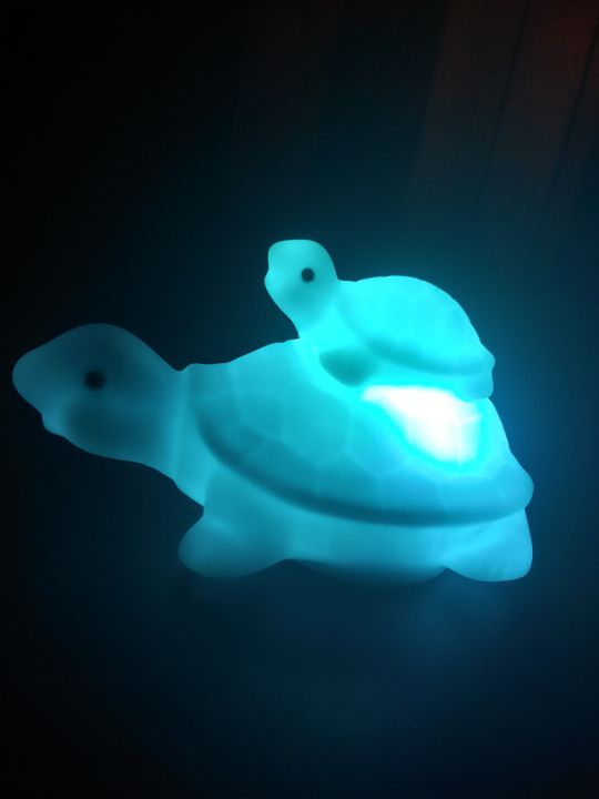Blue Turtle Glow - Kae's Photos - Photography, Still Life, Other Still ...