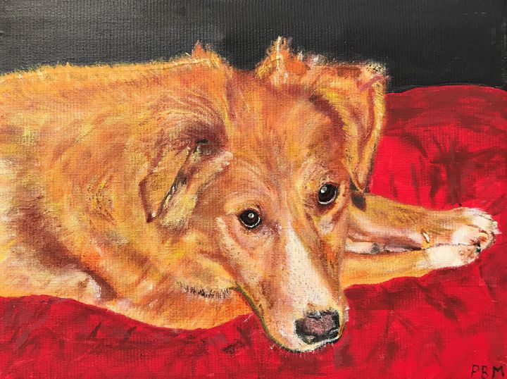 Pet me - PBM - Paintings & Prints, Animals, Birds, & Fish, Dogs ...