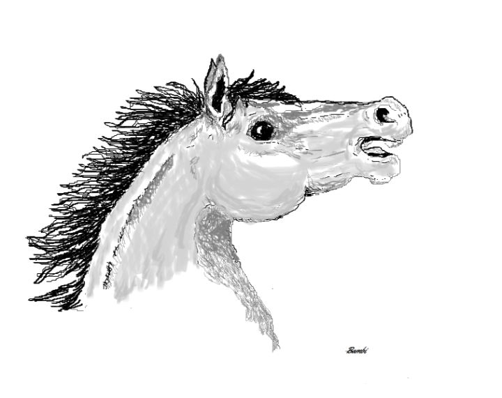 Whinny - Bambi Compton - Drawings & Illustration, Animals, Birds ...