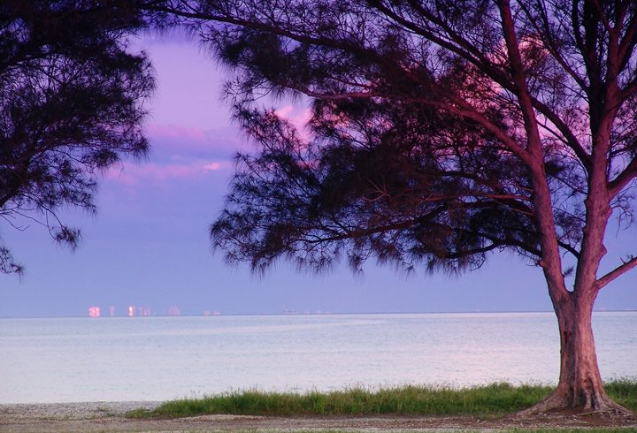 A Violet View - Lens Art By Florene - Photography, Landscapes & Nature ...