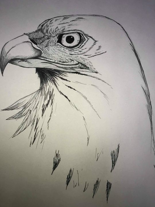 Nat Artist - Drawings & Illustration