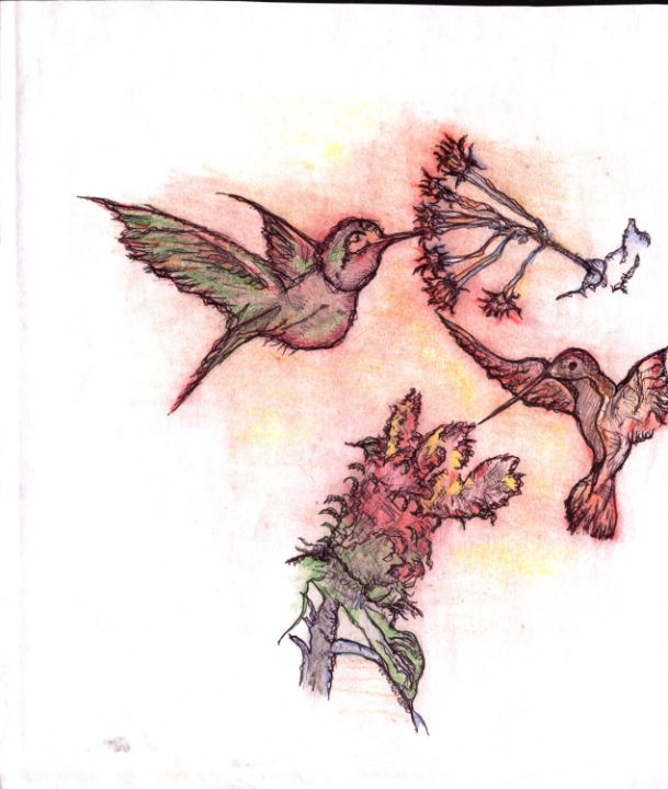 Pond Life - Howard Bose - Drawings & Illustration, Animals, Birds ...