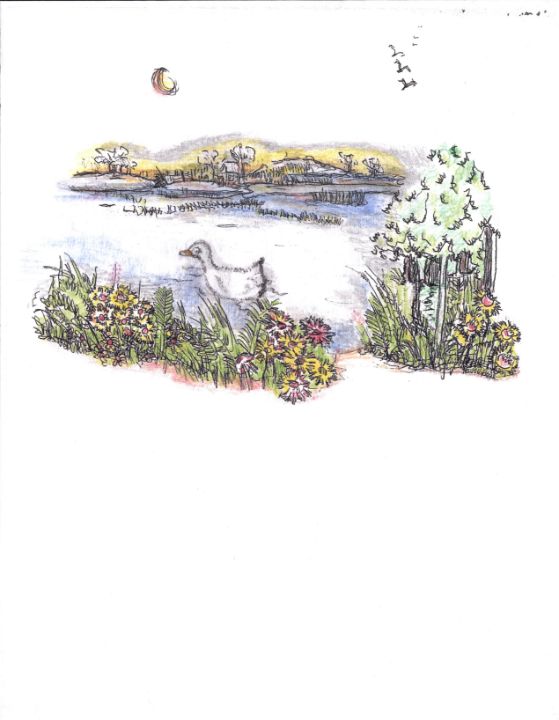 Pond Life - Howard Bose - Drawings & Illustration, Animals, Birds ...