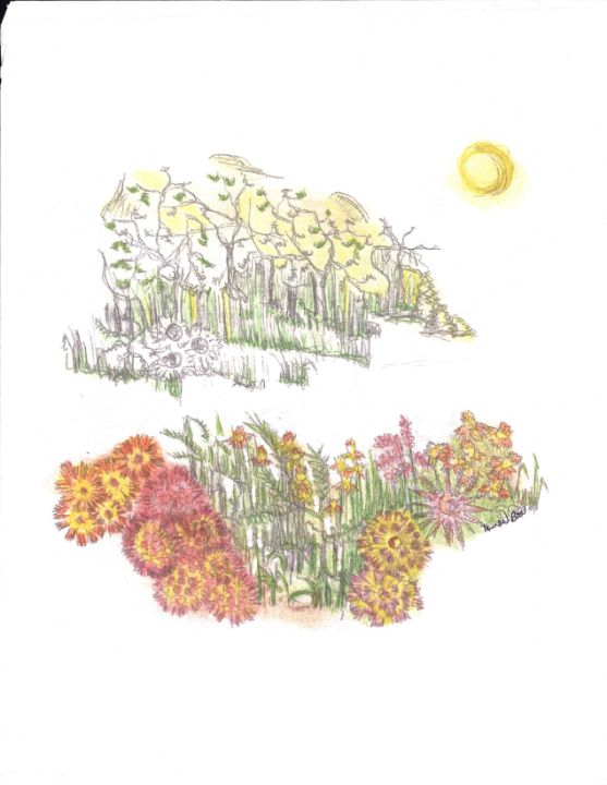 Pond Life - Howard Bose - Drawings & Illustration, Animals, Birds ...