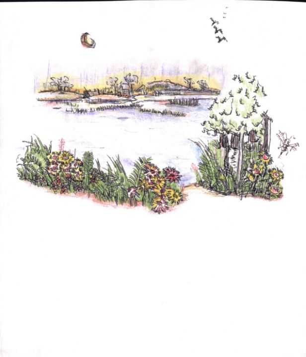 Pond Life - Howard Bose - Drawings & Illustration, Animals, Birds ...