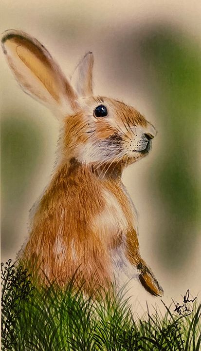 LARRY Rabbit - AllArtUK - Digital Art & AI, Animals, Birds, & Fish ...