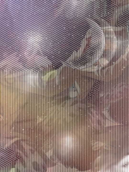 Great Monkey - Digital art - Digital Art & AI, Animals, Birds, & Fish ...