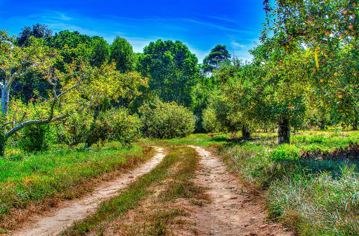Farming Road - Bryant Heffernan - Photography, Landscapes & Nature ...
