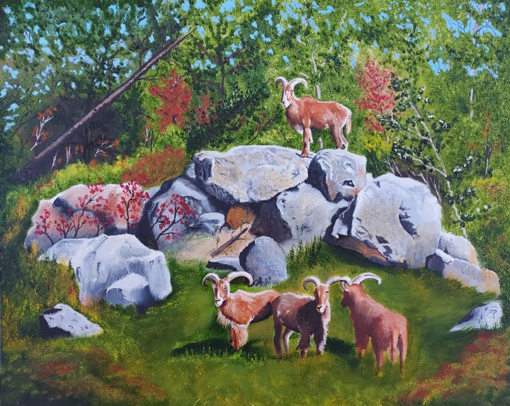 Barbary Sheep - DTL ART. - Paintings & Prints, Landscapes & Nature ...