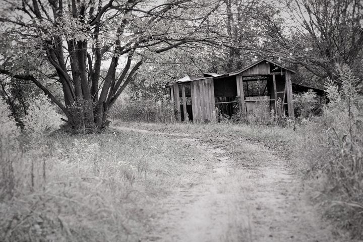 Lisa McClendon - Photography