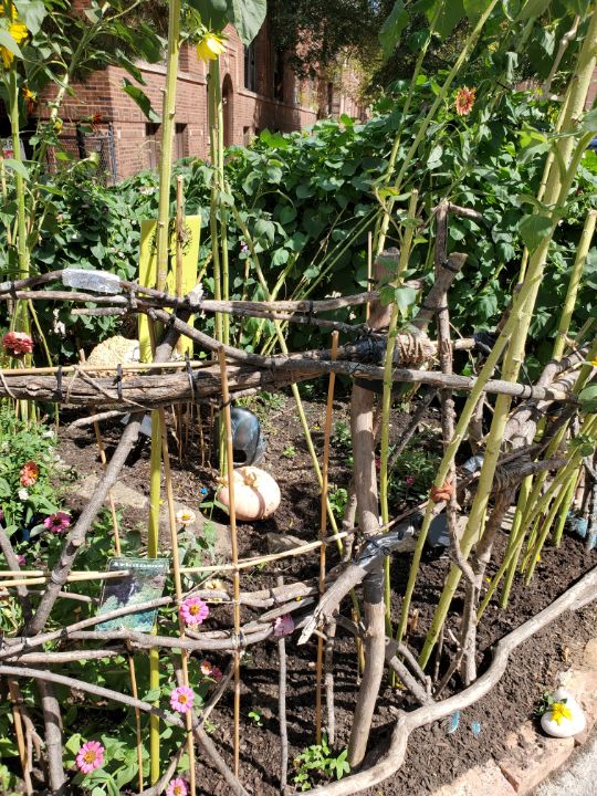 North Center, Chicago, Illinois - You want a piece of me? - Photography ...