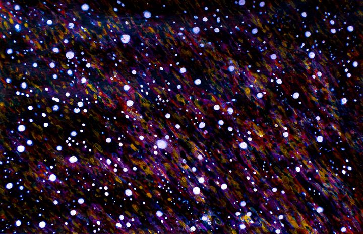 Undulate Galaxy - Alexandra Sillman - Paintings & Prints, Abstract ...