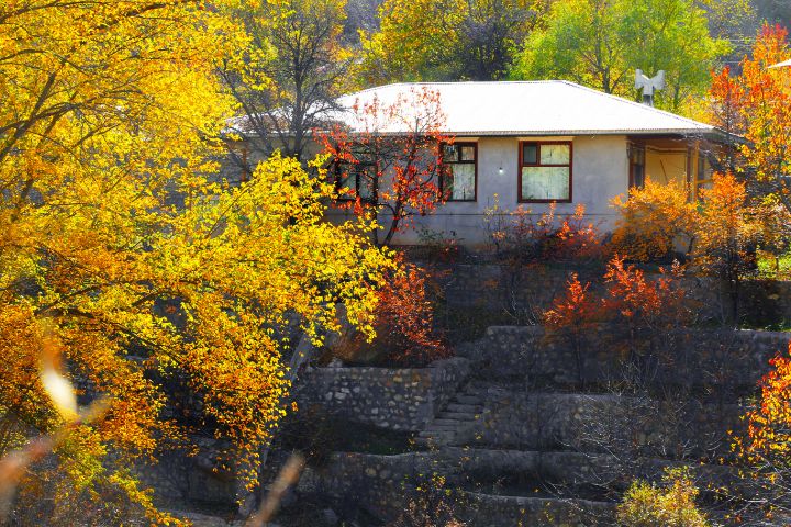 Village vibe - khasha - Photography, Places & Travel, Asia, Iran - ArtPal