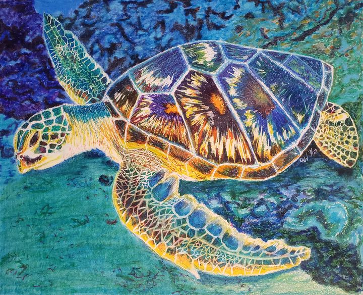 Turtle - Gina Wiener Designs - Drawings & Illustration, Animals, Birds ...
