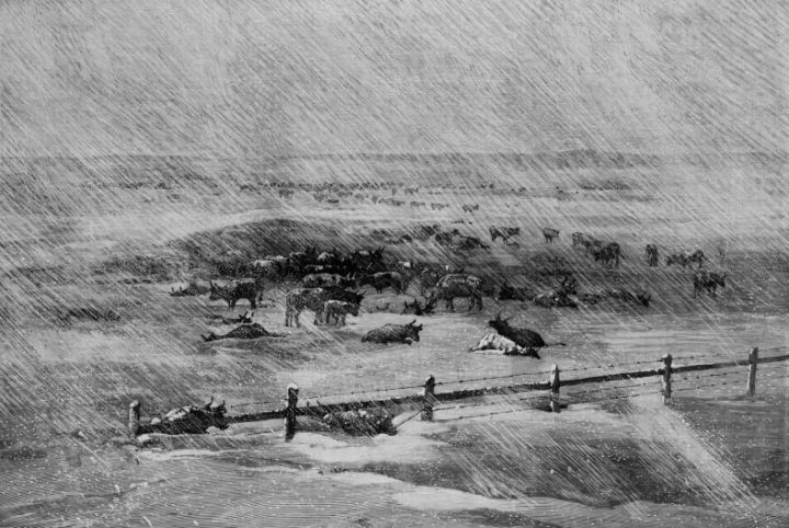 Cattle in a blizzard on the plains - Great Art Library - Paintings ...