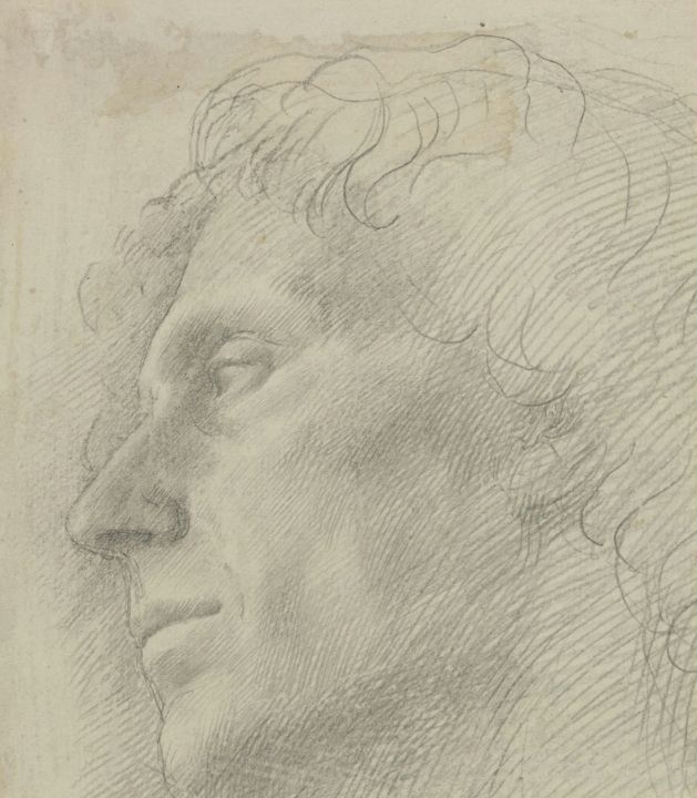 Head of a Man Facing Left - Great Art Library - Paintings & Prints ...