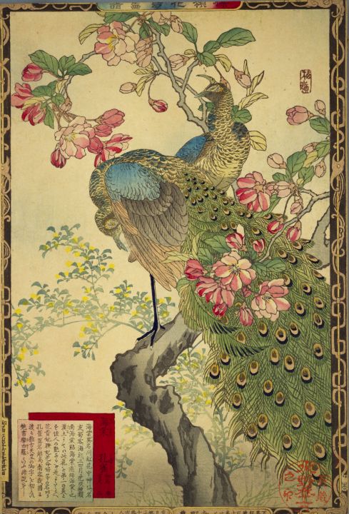 Bairei kacho gafu Spring 03 Hall c - Great Art Library - Paintings ...