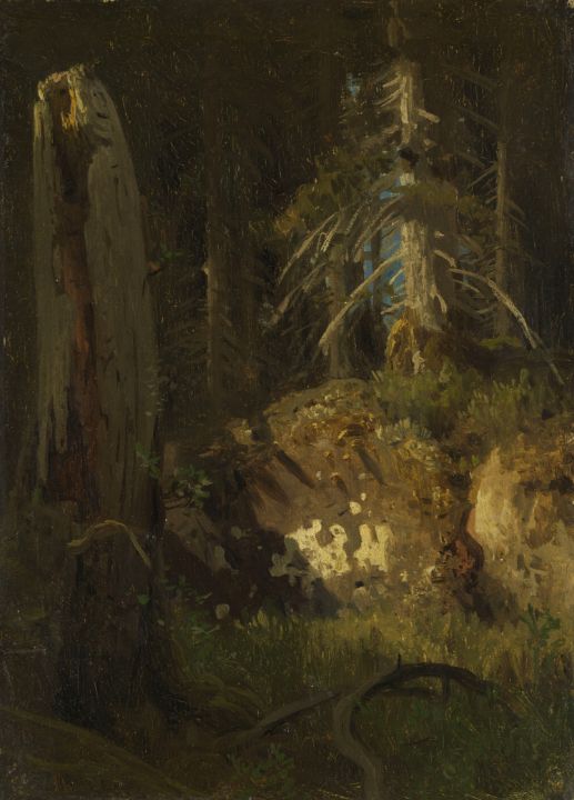 Landscape Study with Decaying Trees - Great Art Library - Paintings ...