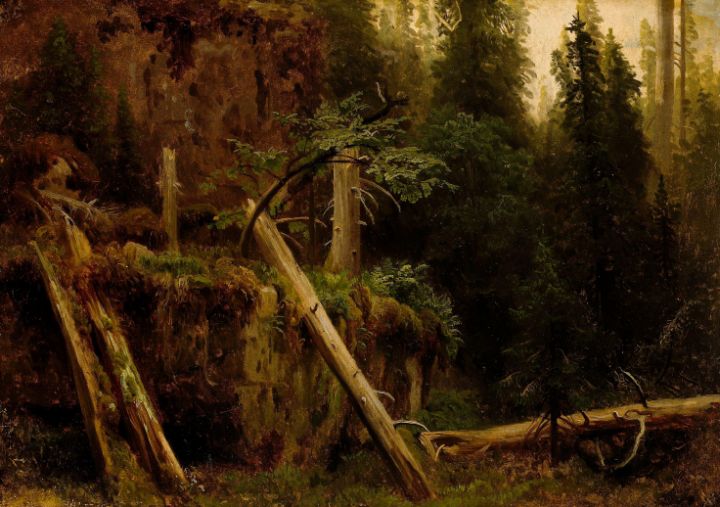 Landscape Study with decaying Trees - Great Art Library - Paintings ...