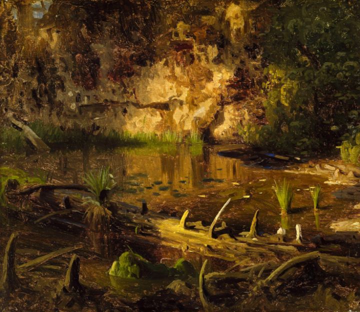 Study of a fallen Tree - Great Art Library - Paintings & Prints, People ...