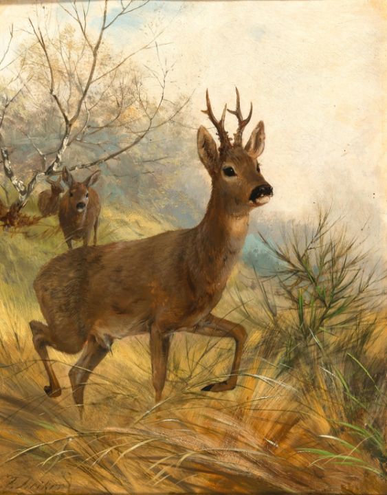 Roebuck and doe - Great Art Library - Paintings & Prints, People ...