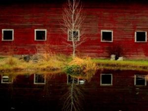 Joshua Gale - Photography