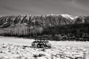 Joshua Gale - Photography