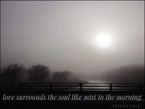 Joshua Gale - Photography