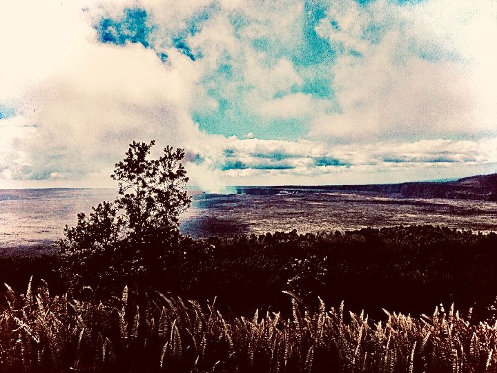 Bode’s - Photography