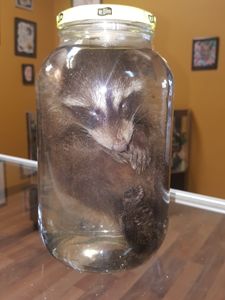 Works by bullfrog - Crafts & Other Art, Sculptures & Carvings