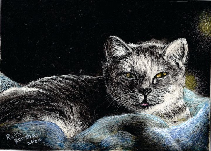 Content Kitty - Ruth Renshaw - Drawings & Illustration, Animals, Birds ...
