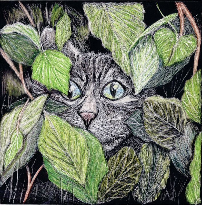 Cat in the Bush - Ruth Renshaw - Drawings & Illustration, Animals ...