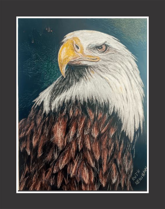 Realistic Bald Eagle Drawings