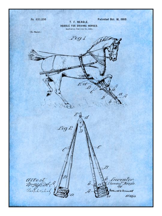 1900 Hobble For Driving Horses - Studio21Graphix - Digital Art & AI ...
