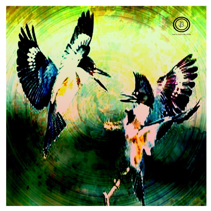Two fighting birds - john bosco - Digital Art, Animals, Birds, & Fish ...