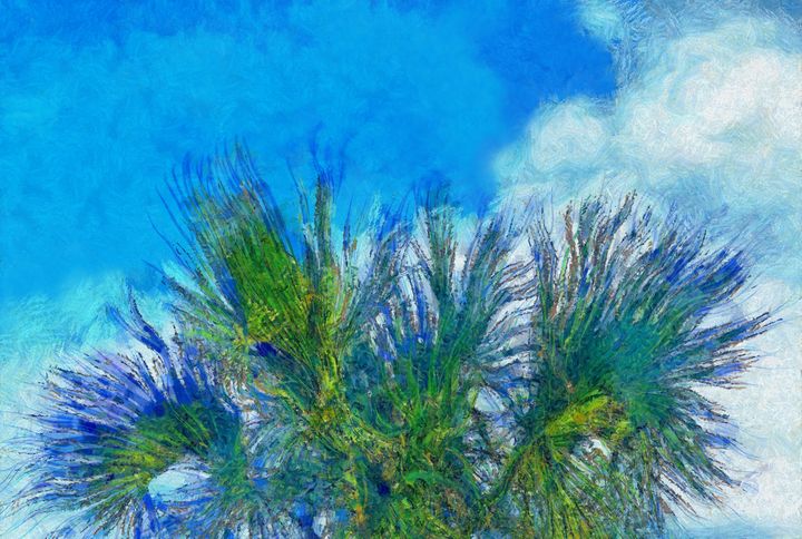 Palm Fronds Abstract PhotoArt - PhotoArt By Darla - Photography ...