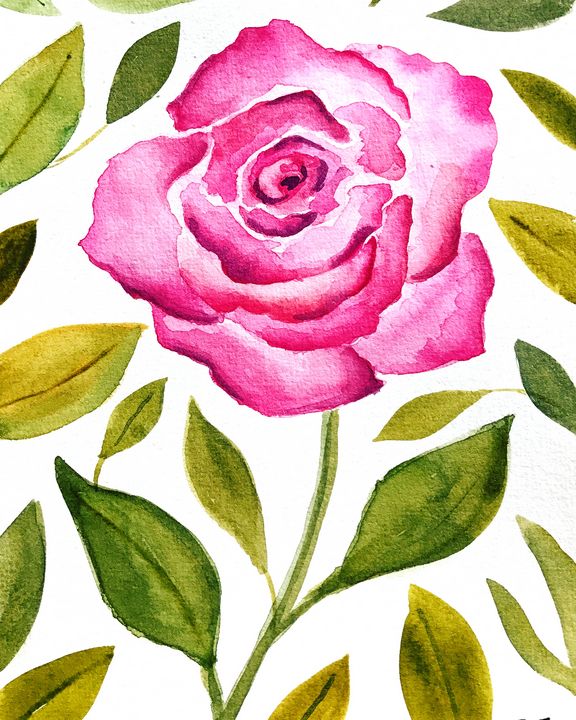 The Single Rose - Roxie Colors - Paintings & Prints, Flowers, Plants ...