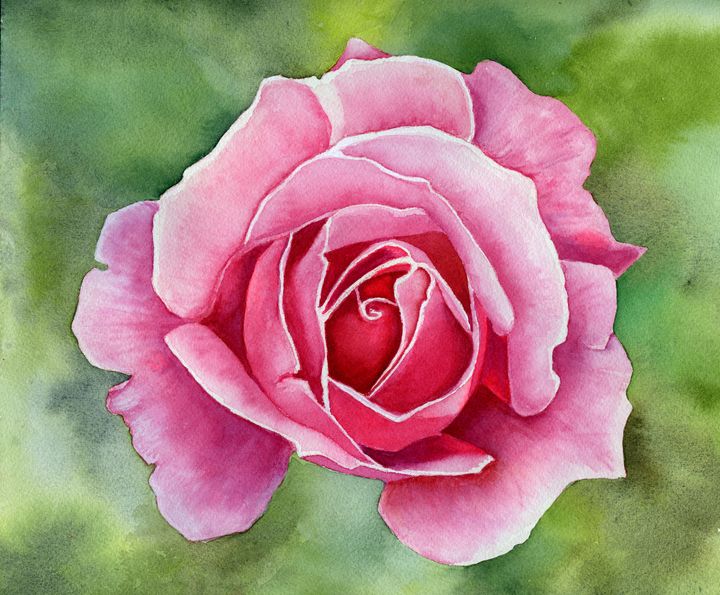 Just a Pink Rose - Roxie Colors - Paintings & Prints, Flowers, Plants ...