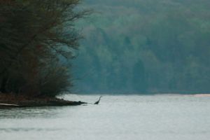 Charles Mulcahy Photography - Photography