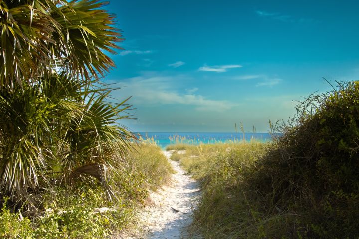 Path to Paradise - Charles Mulcahy Photography - Photography ...