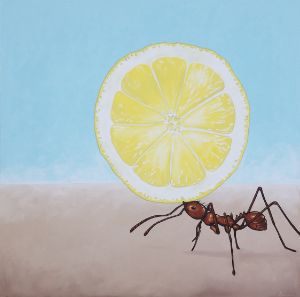 Lisa Rosenmeier - Paintings & Prints