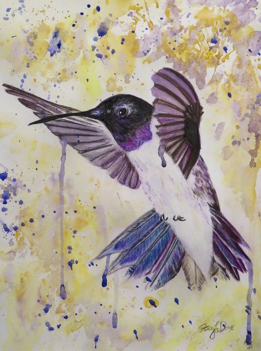 Hummingbird Art Watercolor