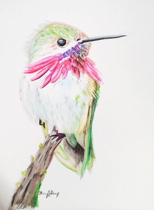 Calliope Hummingbird - Soul Inspired by Stacy - Paintings & Prints ...