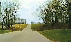 Janet Lee Designs - Drawings & Illustration, Paintings & Prints ...